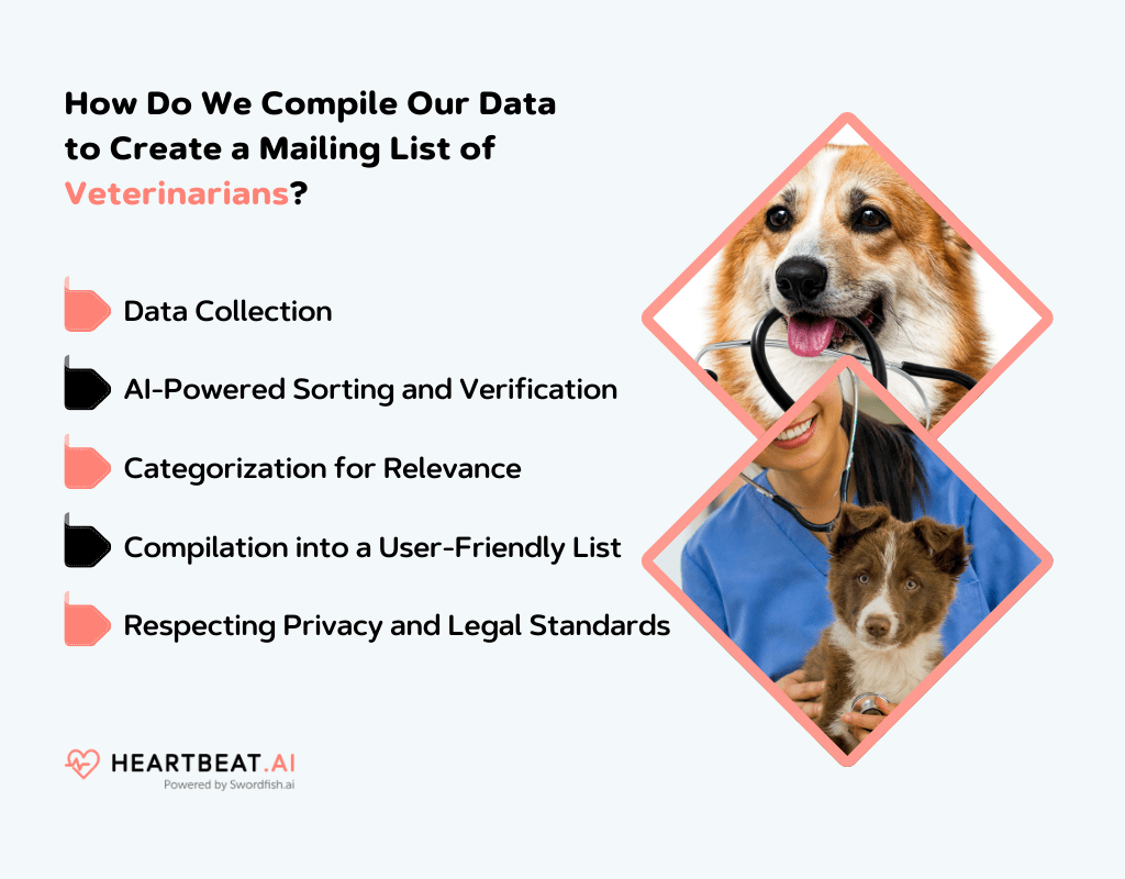 Veterinarian Email List: Certified & Updated