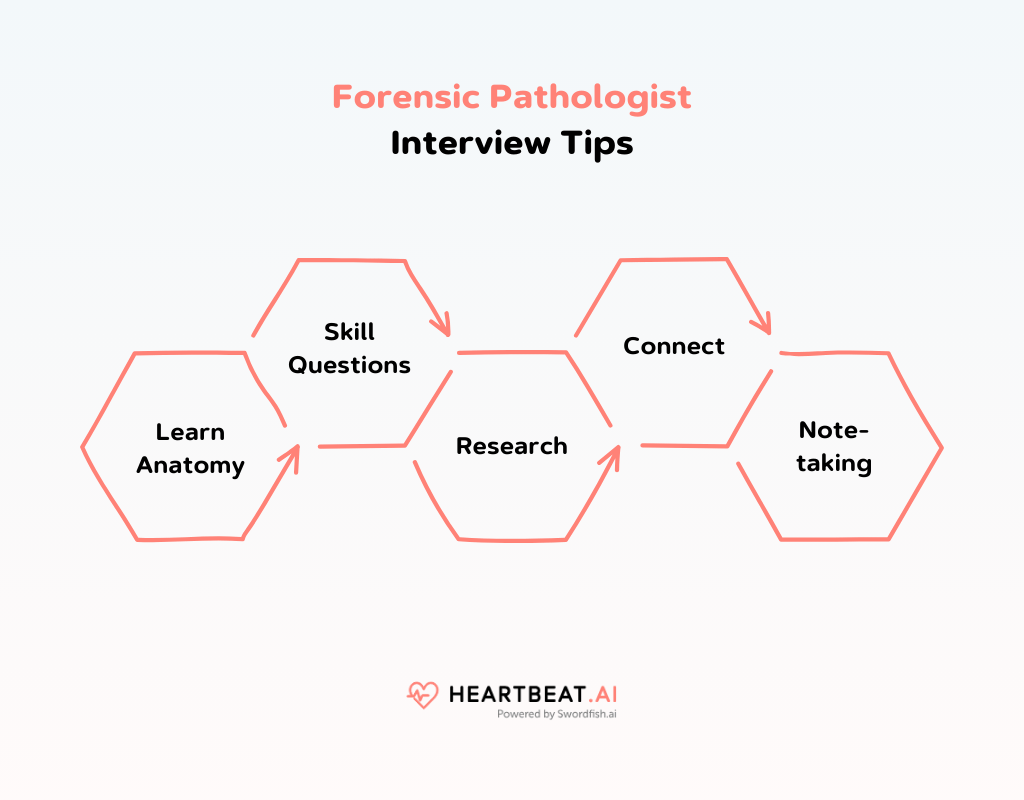Hire Forensic Pathologist: Best Place to Selecting Top Experts ...